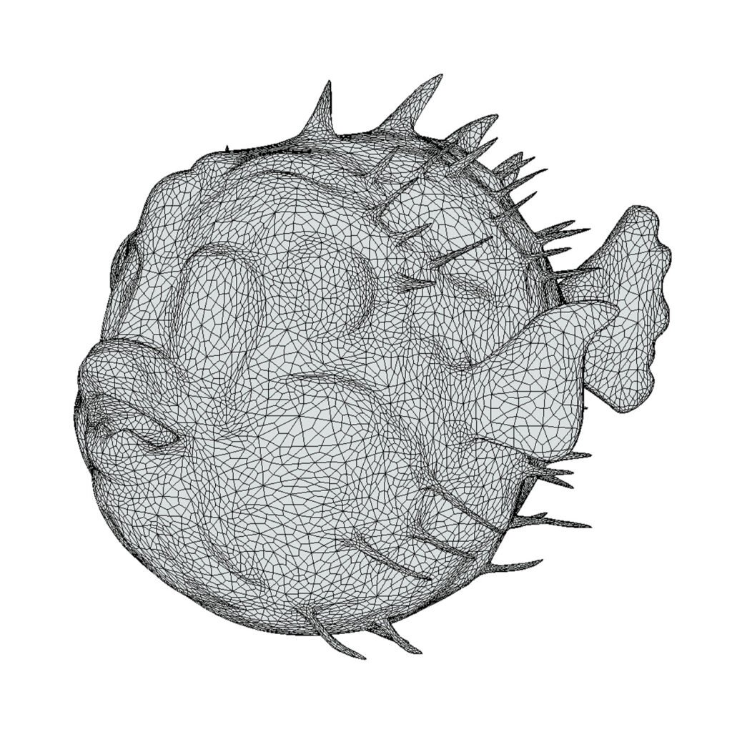 Bubble Pufferfish 3D Model - Rezoro3D