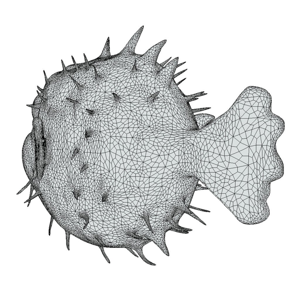 Bubble Pufferfish 3D Model - Rezoro3D